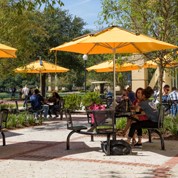 Home | MyCSU Homepage